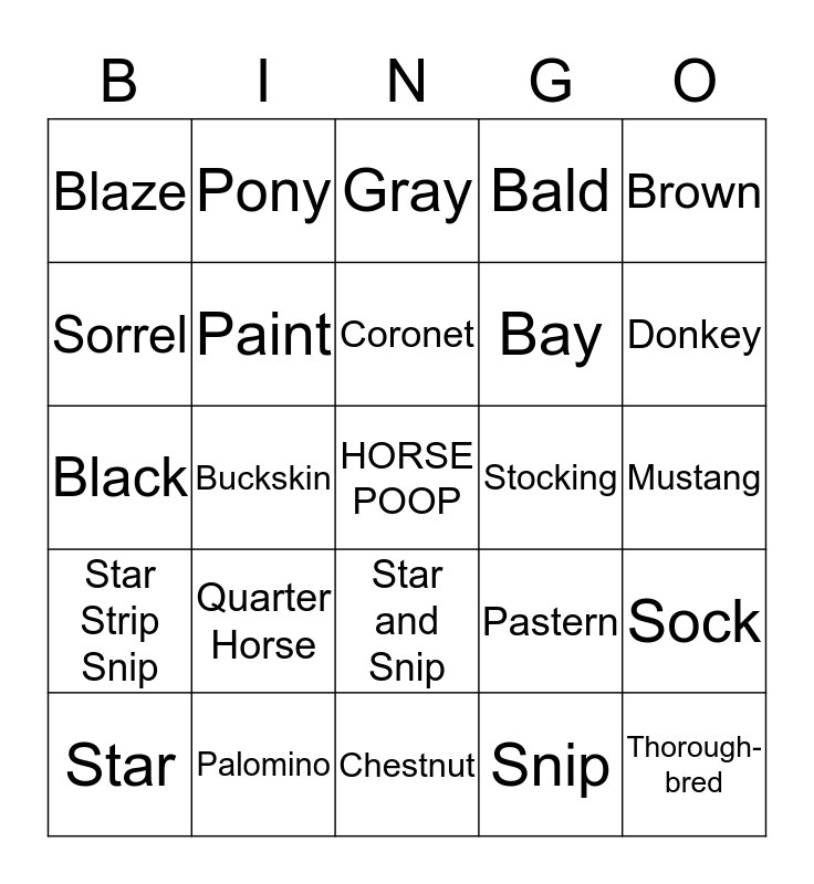 Equine Bingo Card