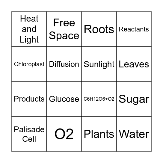 Photosynthesis Bingo Card