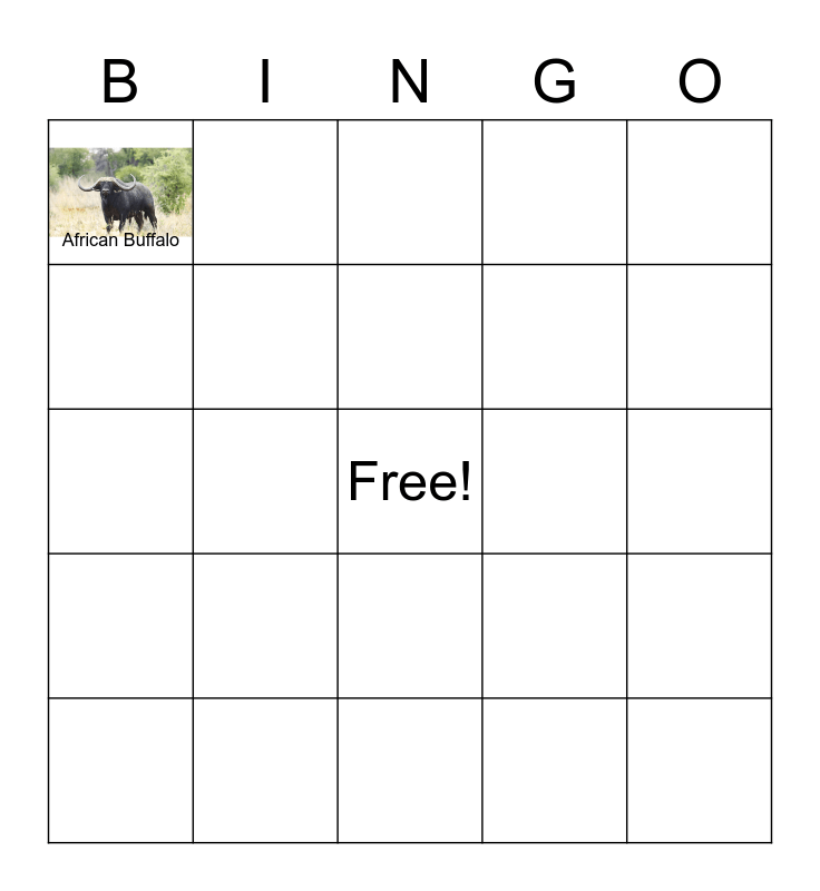 Ghana Safari! Bingo Card