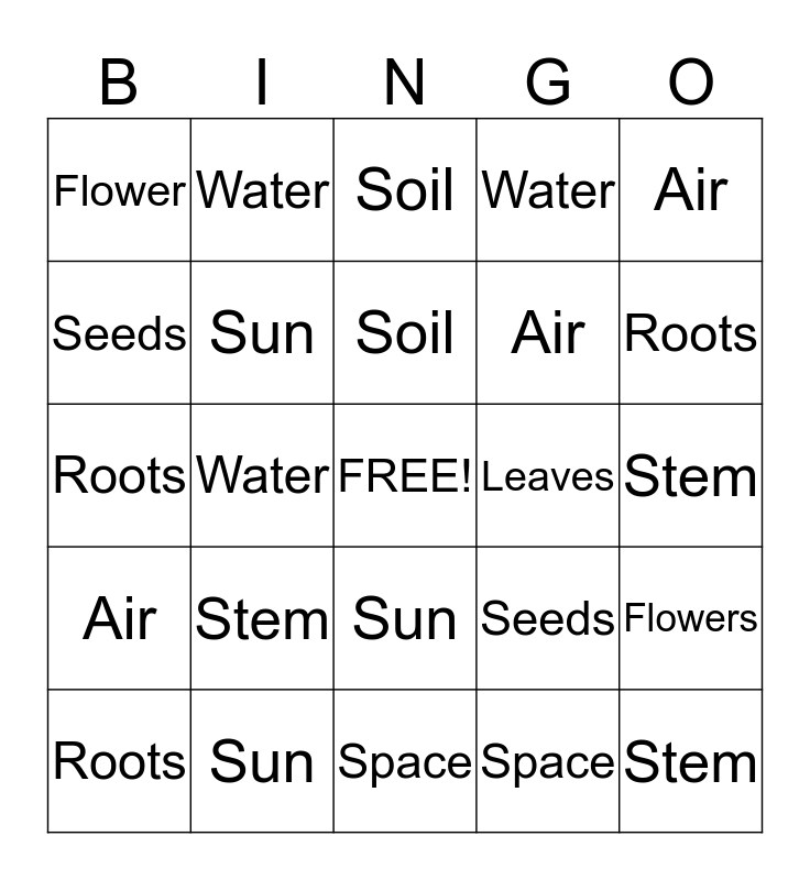 Plant PArts and Needs Bingo Card