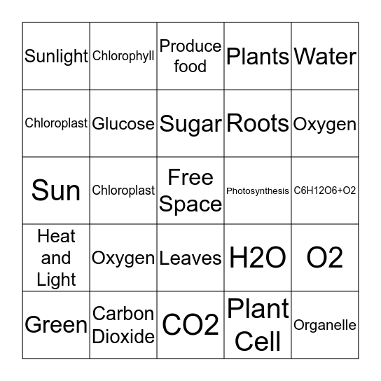 Photosynthesis Bingo Card