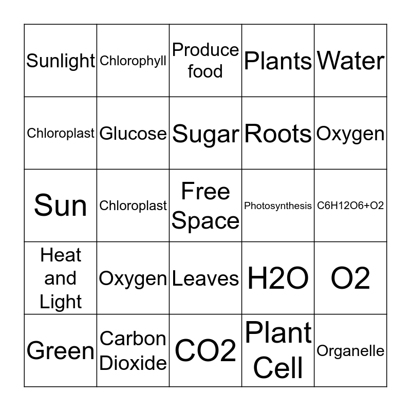 Photosynthesis Bingo Card