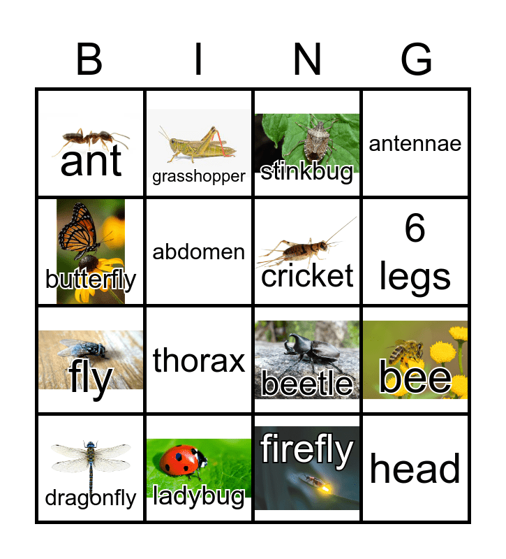 Insect Bingo Card