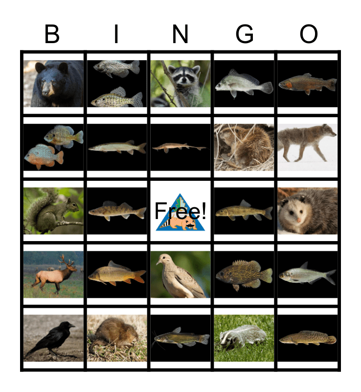 National Hunting & Fishing Day Bingo Card