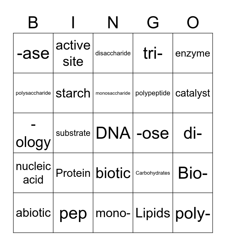 Vocabulary Bingo: Biomolecules & Enzymes Bingo Card