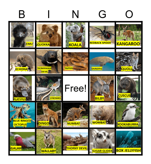 AUSTRALIAN ANIMALS Bingo Card