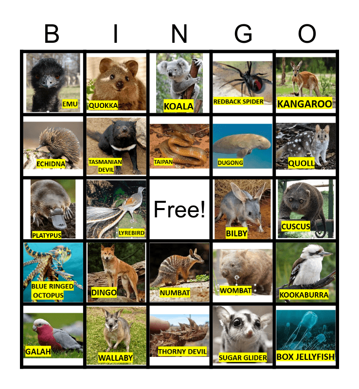 AUSTRALIAN ANIMALS Bingo Card
