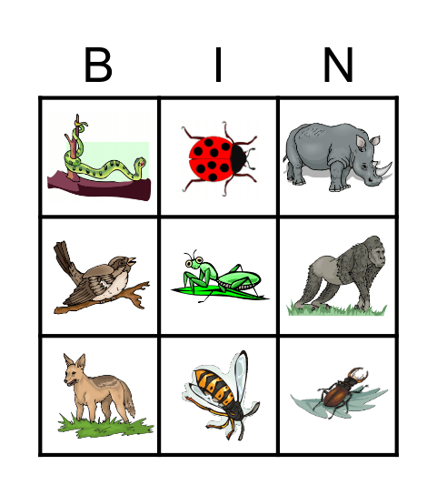 The Grouchy Ladybug Bingo Card