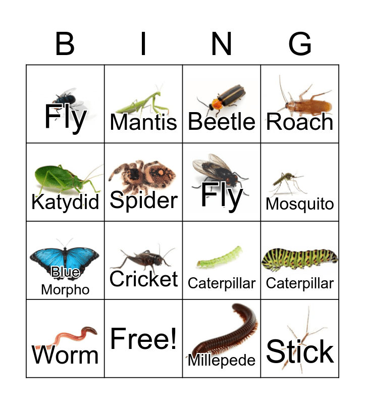 Bugs Bingo Card