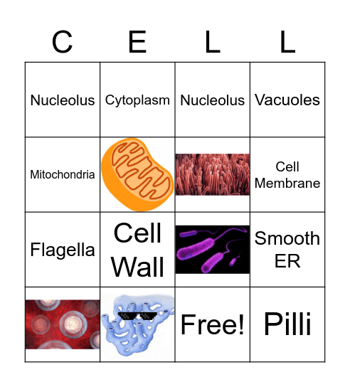 Prokaryotic/Eukaryotic Cells Bingo Card