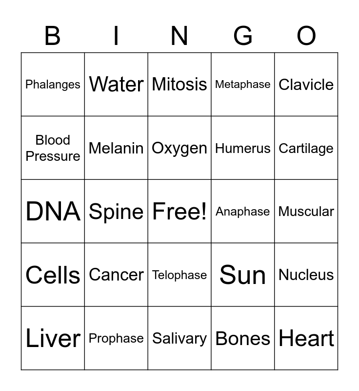 Cells and Body Systems Bingo Card