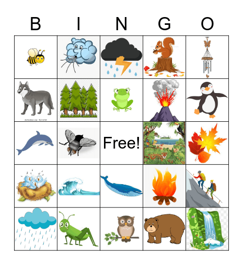 Nature Sound Bingo Card