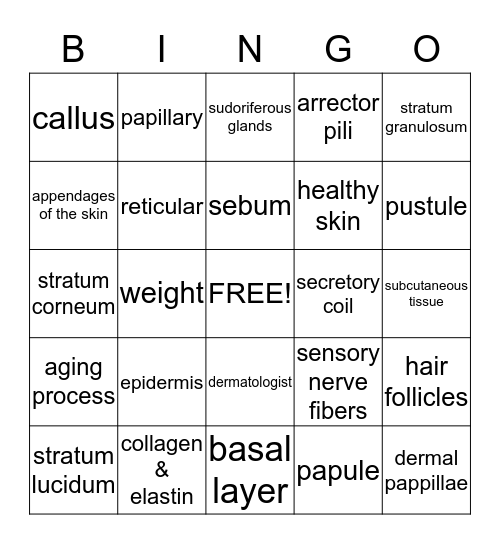 SKIN STRUCTURE Bingo Card