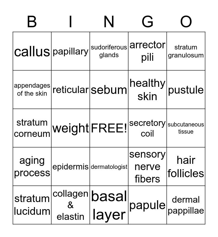 SKIN STRUCTURE Bingo Card