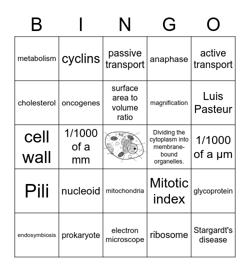 Topic 1 Cell Biology Bingo Card