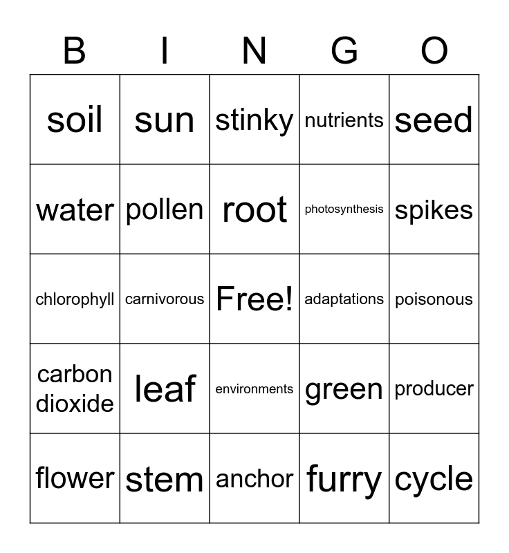plant words Bingo Card