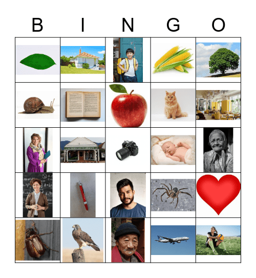 Te Reo Maori tahi Bingo Card