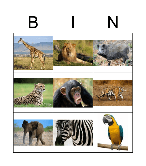 Wild Animals Bingo Card