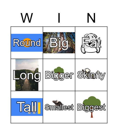 Sizes Bingo Card