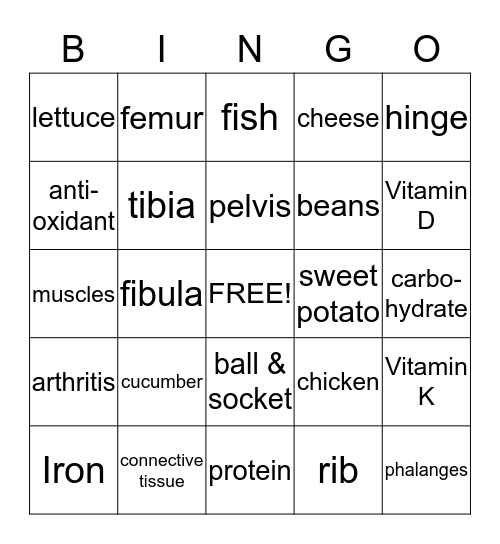 Bio Bingo Canisius Science Summer Camp 2015 Bingo Card