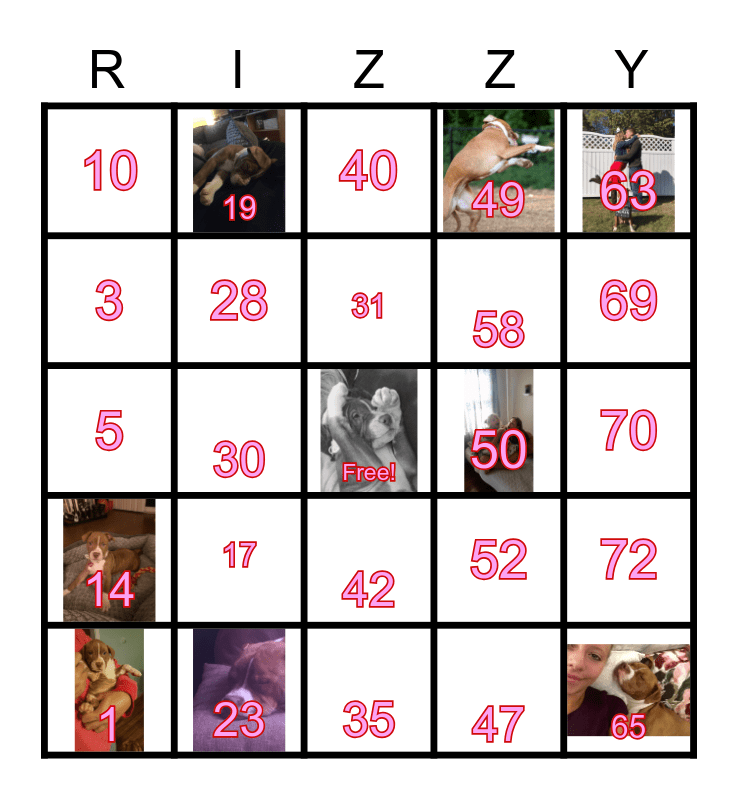 Rizzy's 6th Birthday Bingo Card