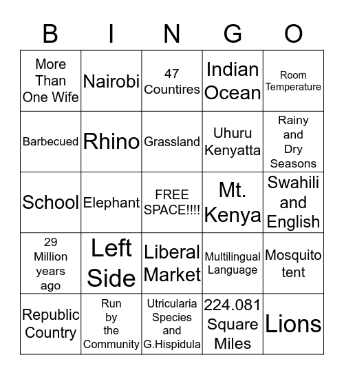 Kenya Bingo Card