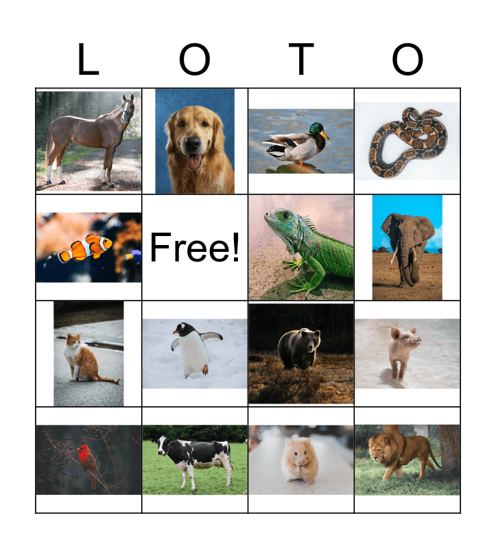 Les Animaux Lotto! Bingo Card