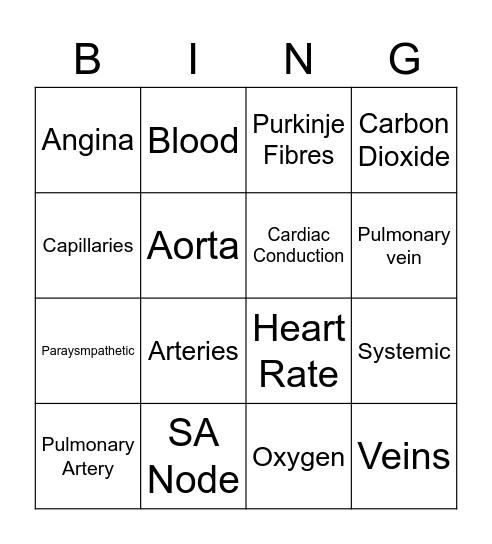 Cardiovascular System Bingo Card