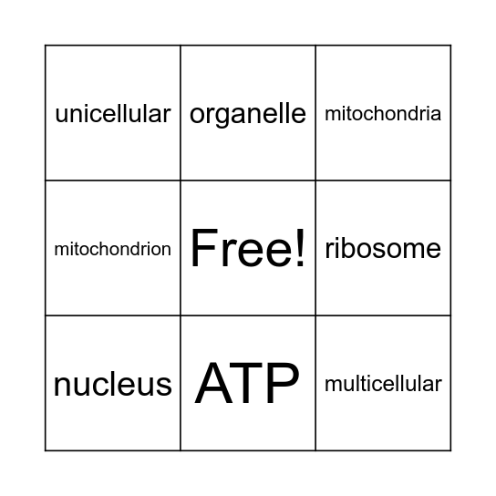 Cell Structure Bingo!! Bingo Card