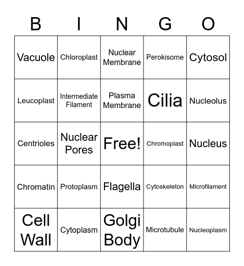 Cell Organelle Bingo Card