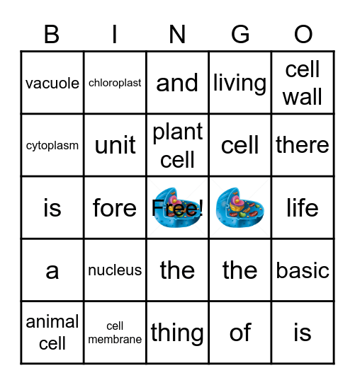 Cell Organelles Bingo Card