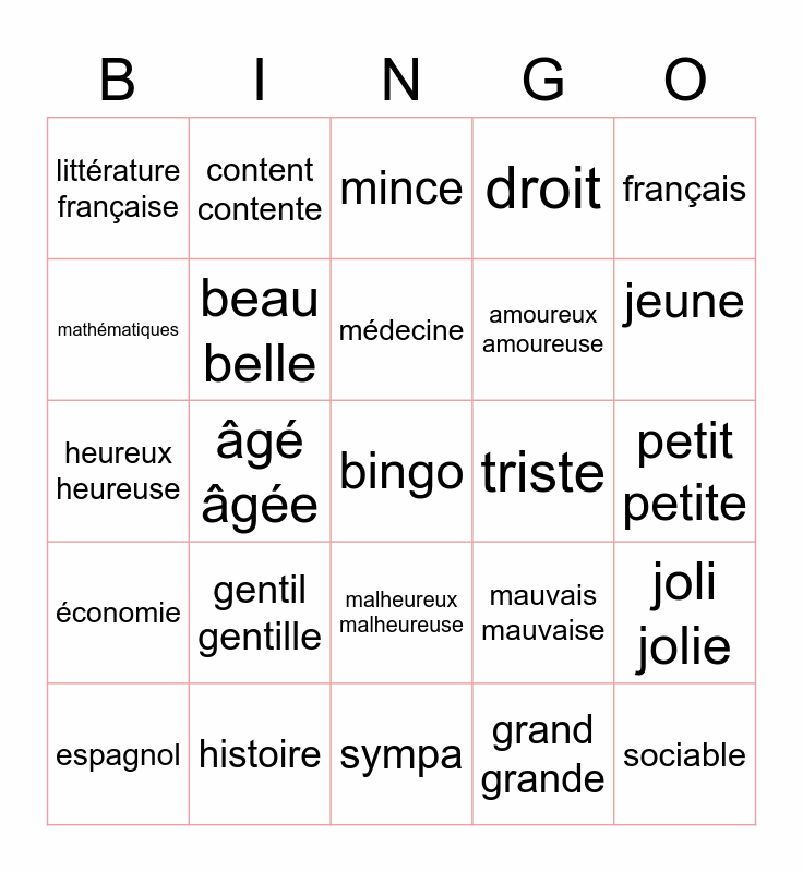 vocabulaire Bingo Card