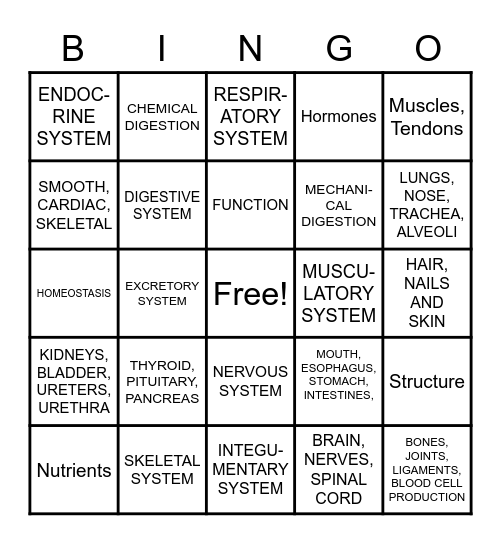BODY SYSTEMS Bingo Card