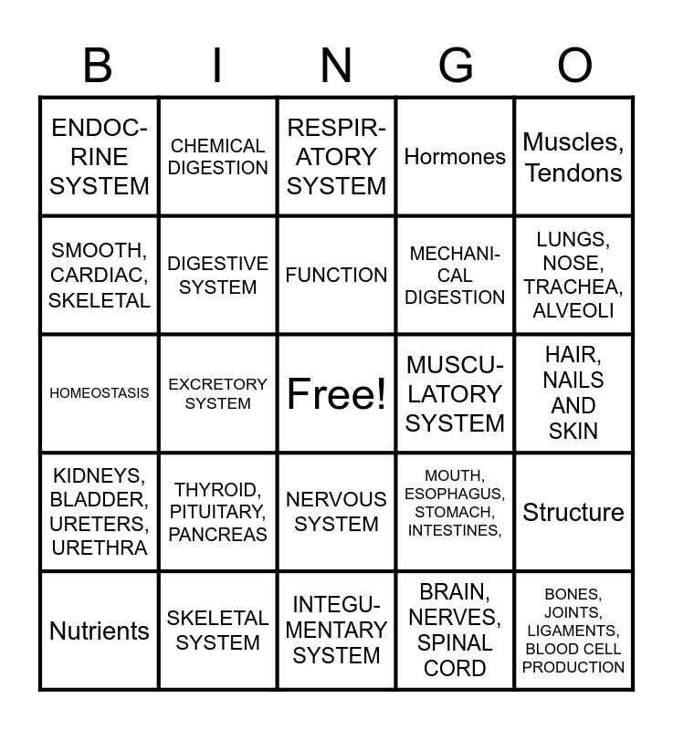 BODY SYSTEMS Bingo Card