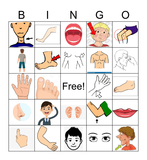 Parts of the Body (images) Bingo Card