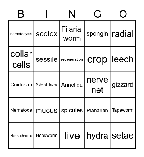 Sponges/Cnidarians/Worms BINGO Card