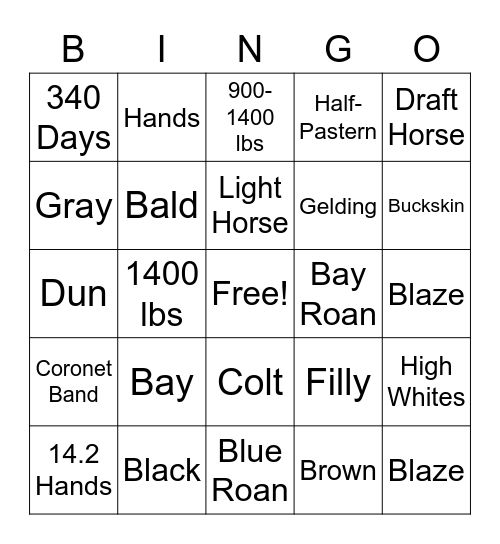 Equine Bingo Card