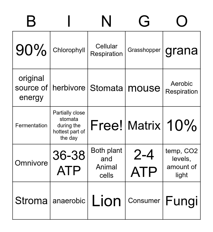 Energy Flow #2 Bingo Card
