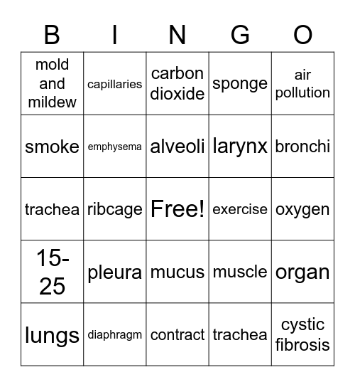 Respiratory System Bingo Card