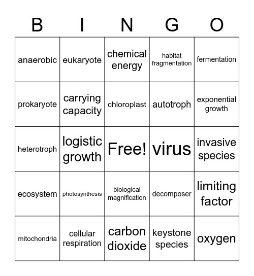 Semester 1 EOC Review Bingo Card