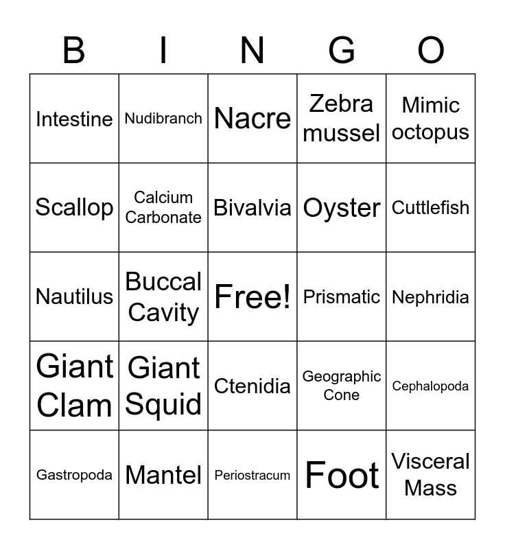 Mollusks Bingo Card