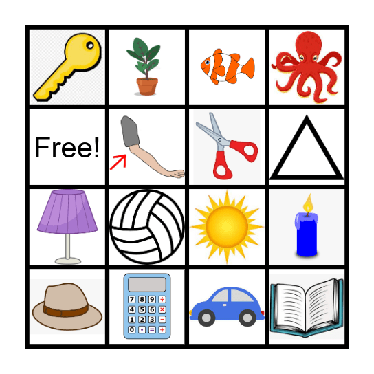 Picture ID Bingo Card