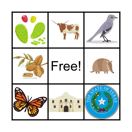 Texas Bingo Card