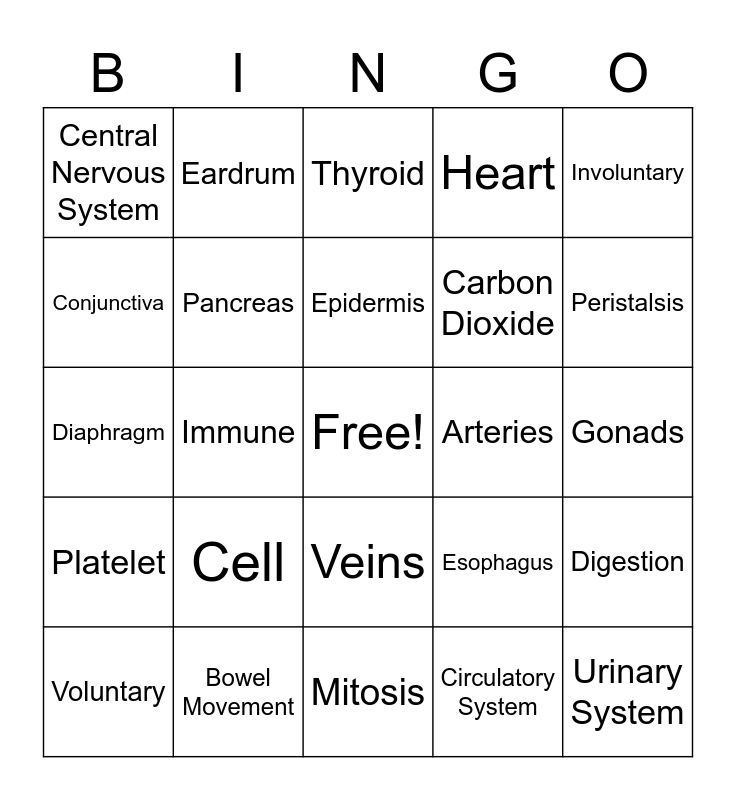 Body Structure & Function Bingo Card