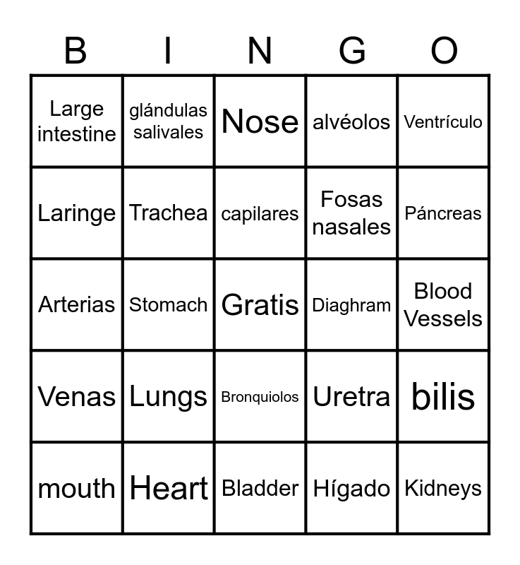 The Body System Bingo Card
