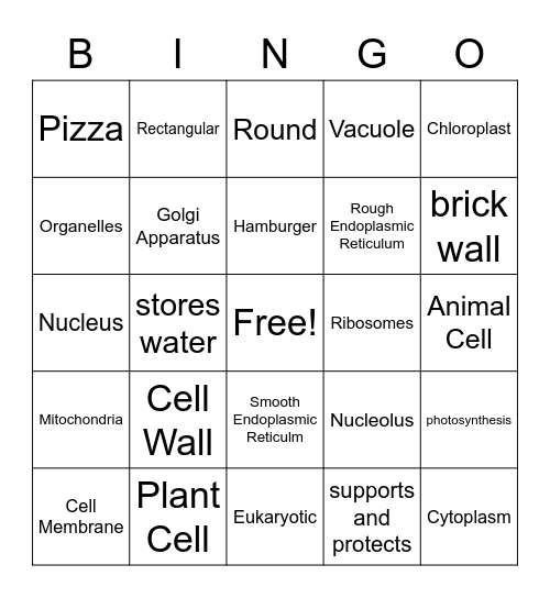 Plant & Animal Cell Bingo 2 Bingo Card