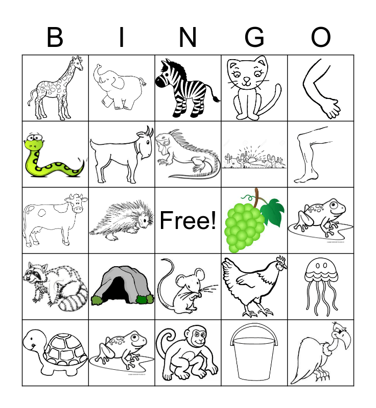 Beginning Sounds Animals Bingo Card