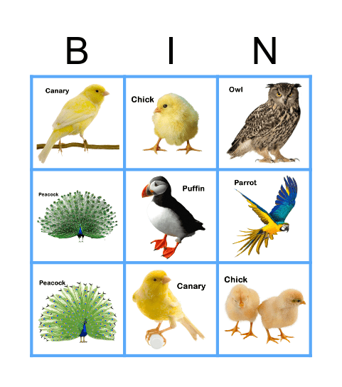Bingo (Birds) Bingo Card