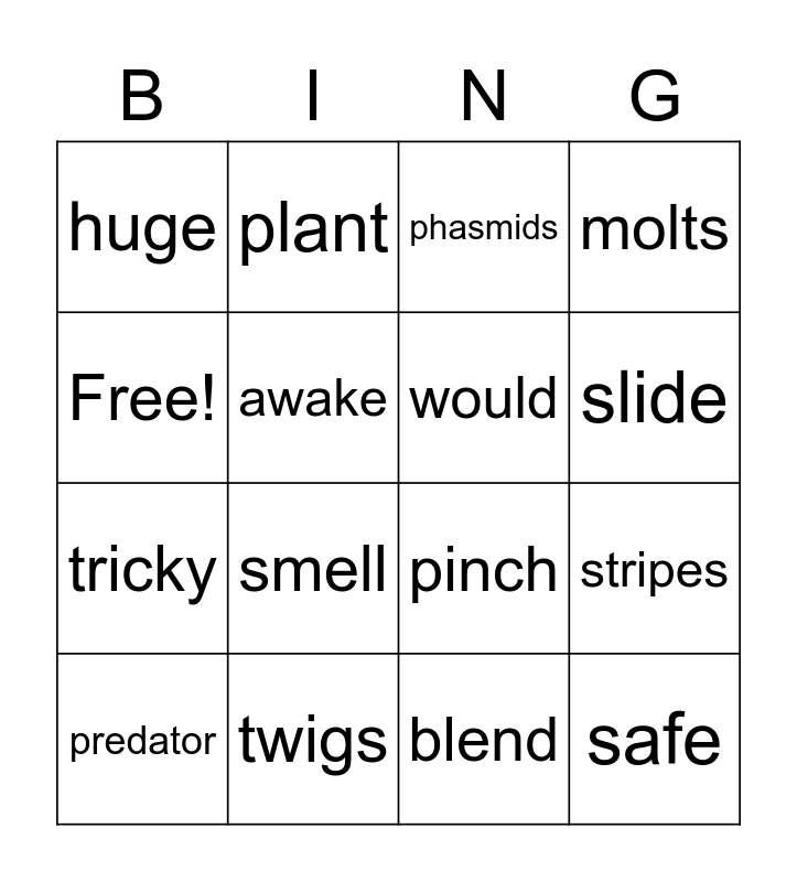 Stick Bugs Bingo Card