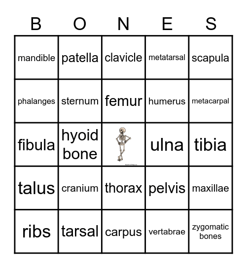 Game of Bones Bingo Card